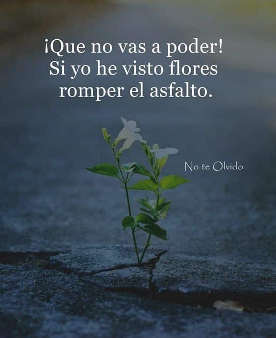 Top 5 frases de ánimo y fuerza para descargar