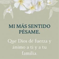 Las mejores frases de pésame cortas en 4 tarjetas digitales